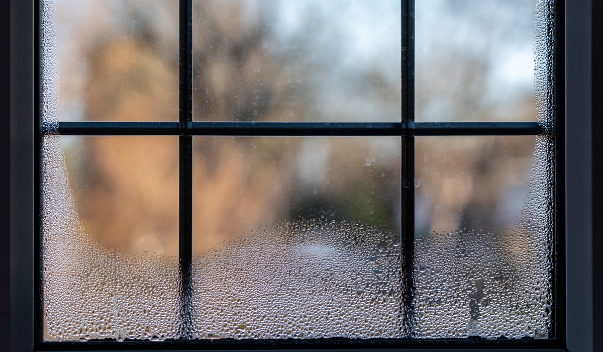 6 Symptoms of High Humidity in a Home - This Must Be Home